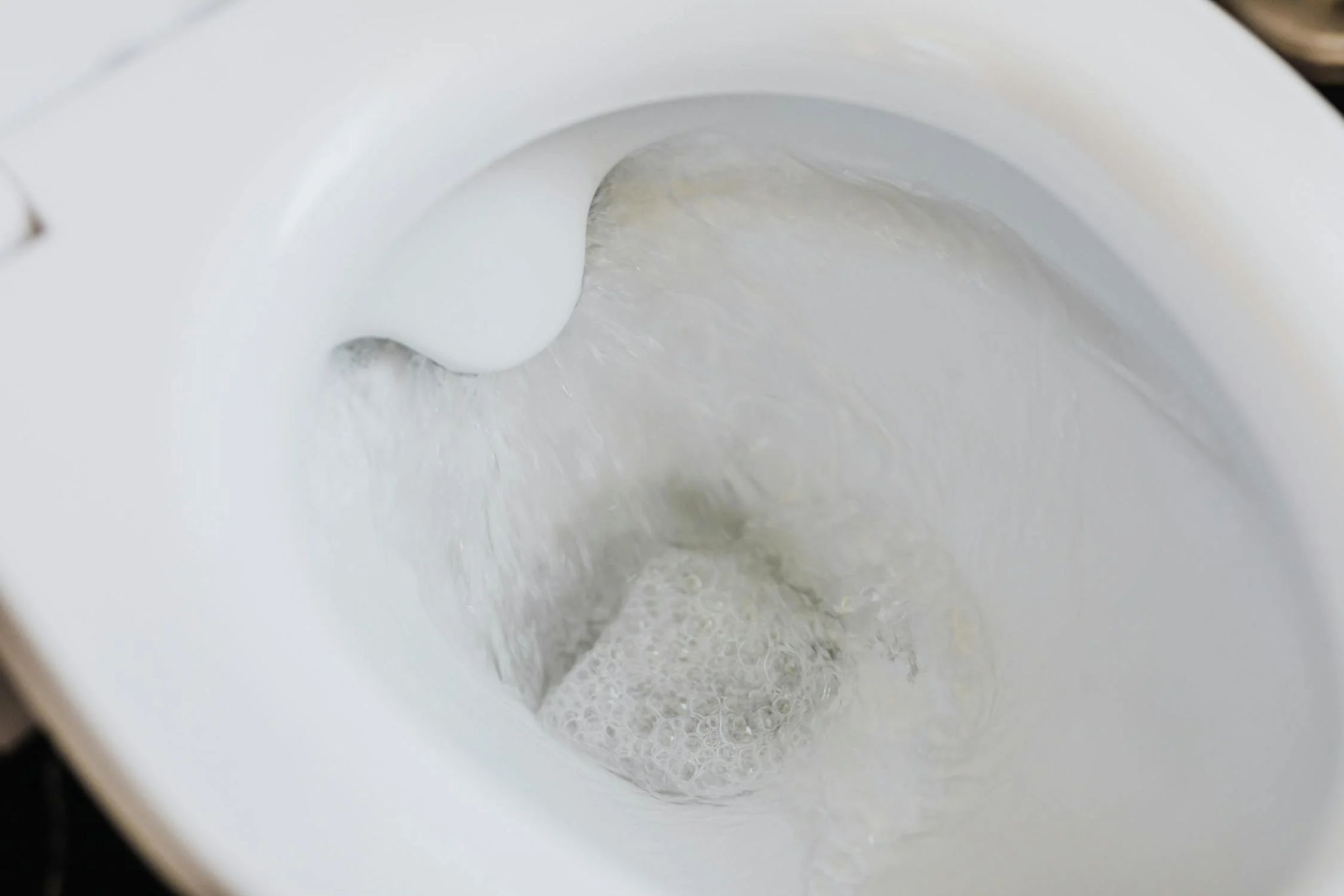 Flushing Out Problems: A Guide to Common Commercial Toilet Troubles and ...