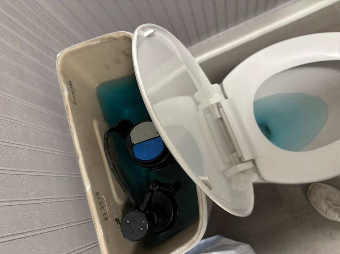 Don't Let Toilet Troubles Flush Your Day Away: A Guide to Identifying ...
